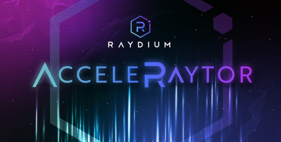 【図解】Raydium「AcceleRaytor」のIDOに参加する方法！ | クリプトノオト